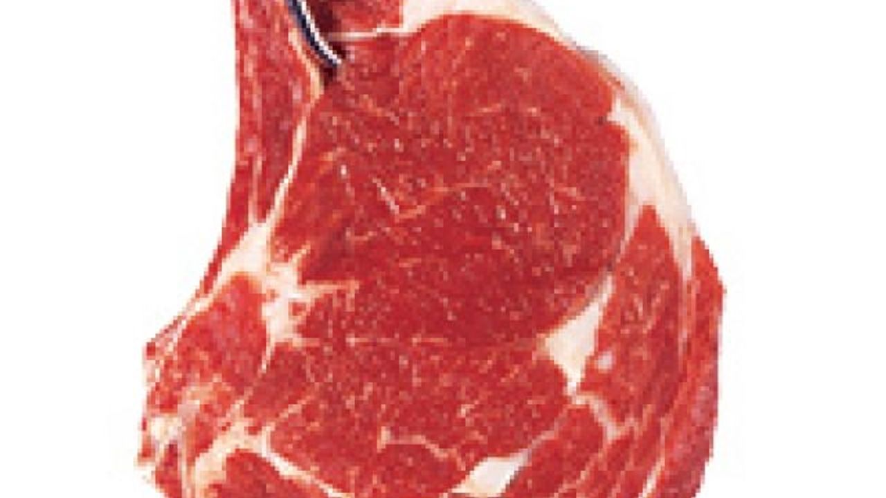 Fleisch - SZ Magazin