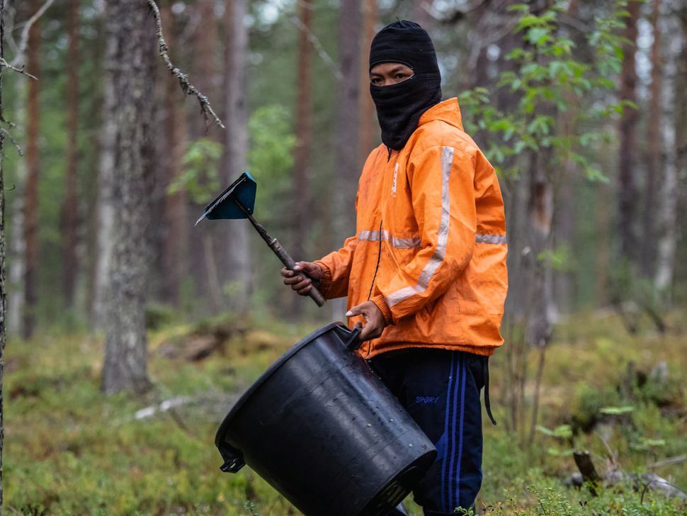 Harvard-Professor David Sinclair: Wie bleibt man für immer jung? - SZ ...