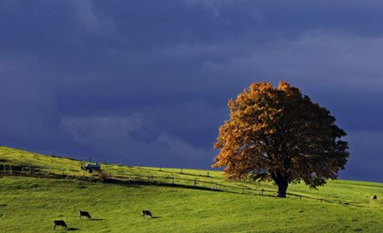 Das Geheimnis von Scheidegg - SZ Magazin