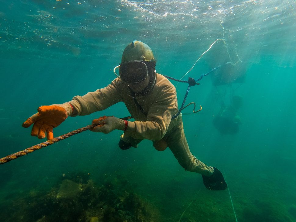 Goldtaucher auf den Philippinen, Fotoreportage von Claudio Sieber - SZ ...