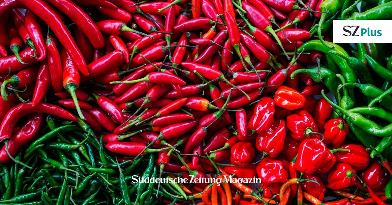 Pepper-X-Erfinder Ed Currie im Interview: Scharf essen kann man ...