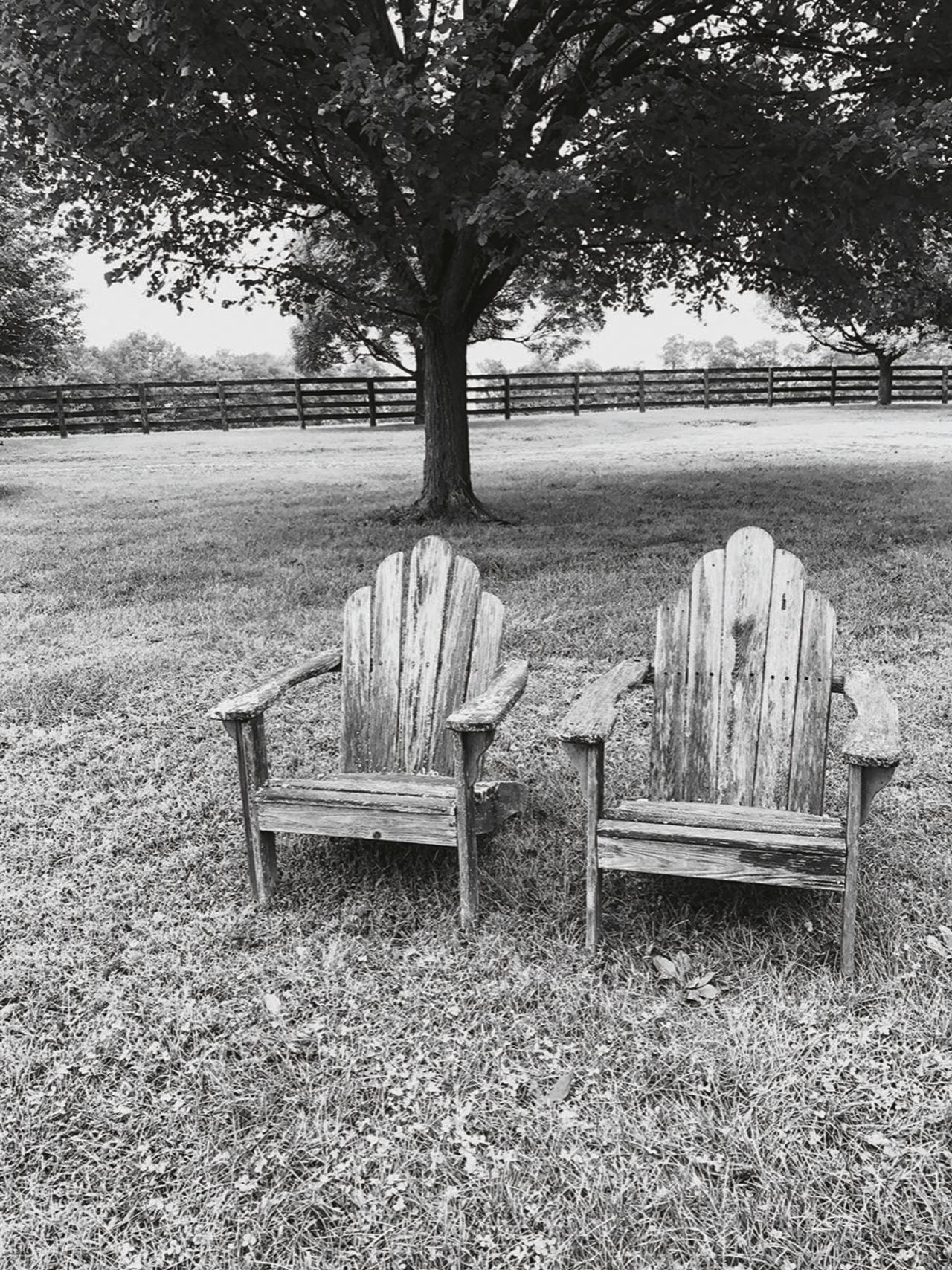 »Ich gehe mit den Verstorbenen, die ich liebe, durchs Leben« - SZ Magazin