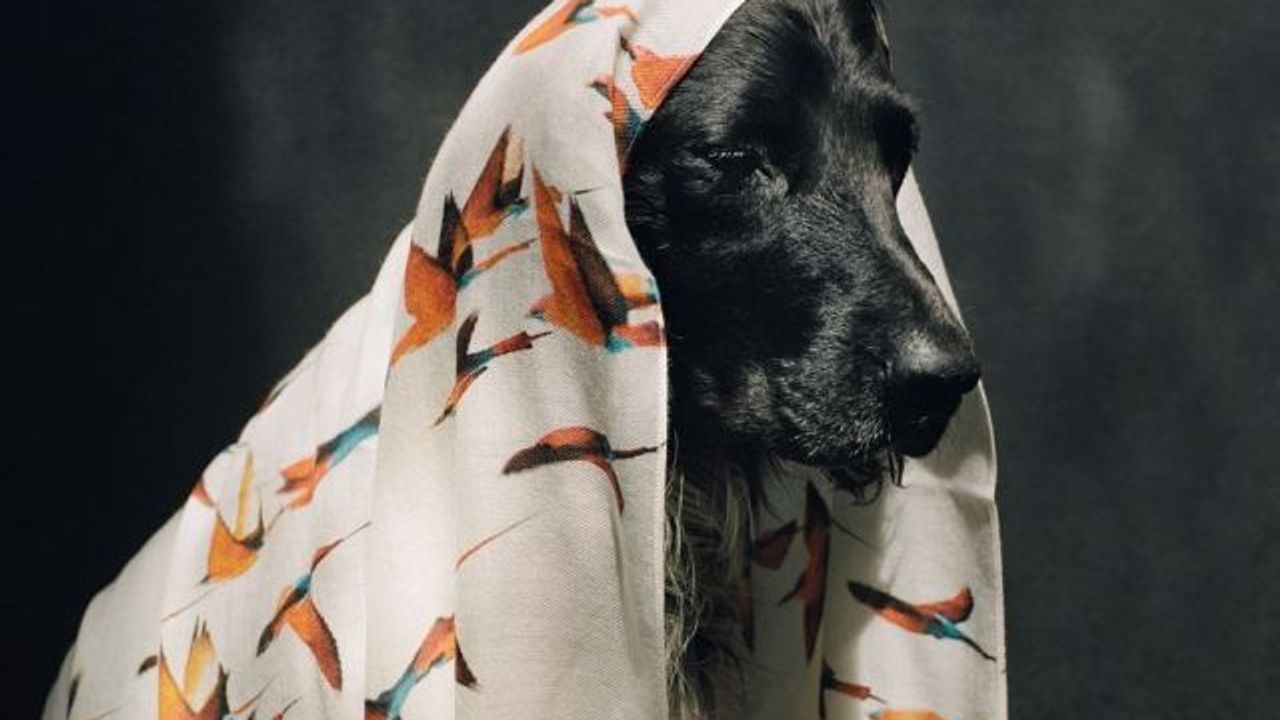 Der Spint doch - SZ Magazin