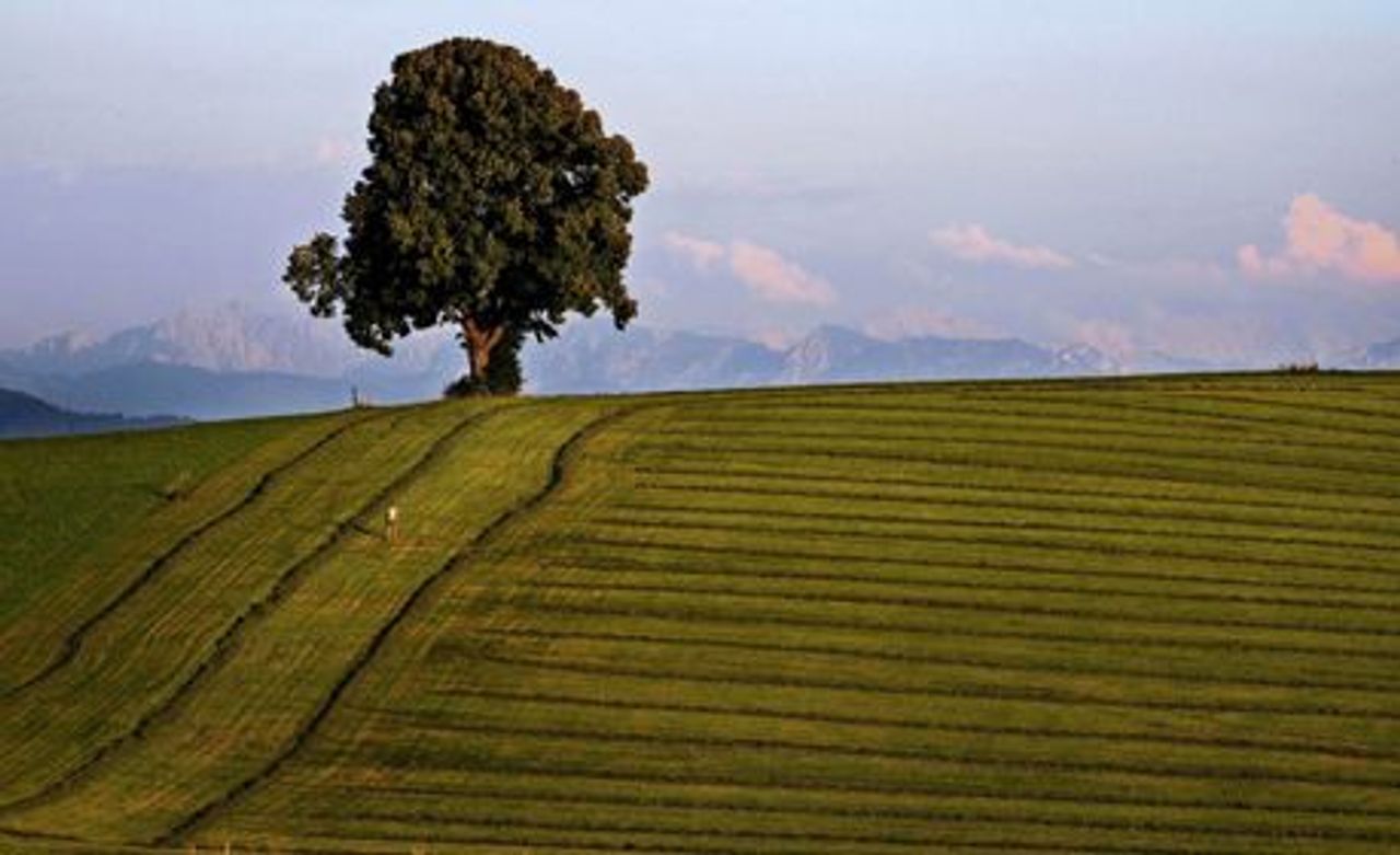 Das Geheimnis von Scheidegg - SZ Magazin