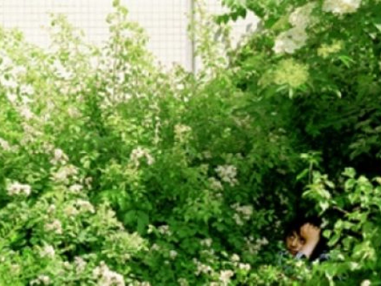 Autorenseite Alex Rühle - SZ Magazin