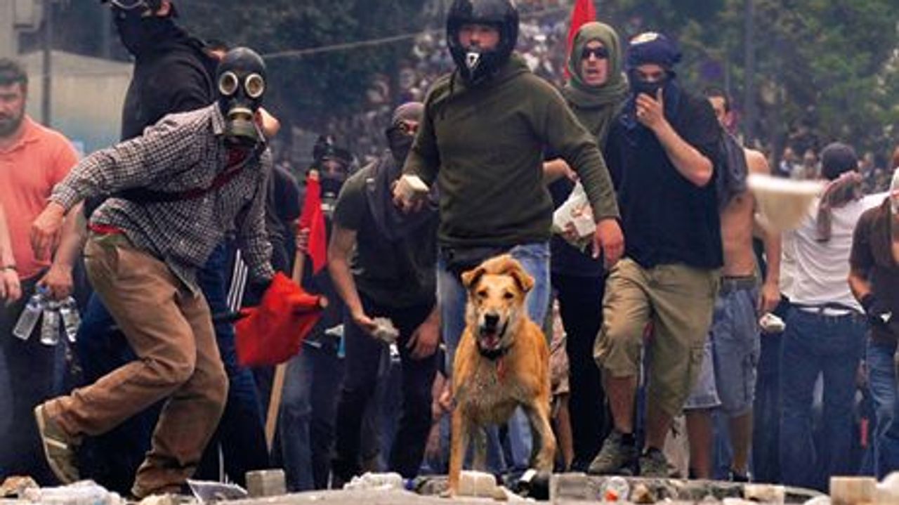 Auf sie mit Gebell - SZ Magazin