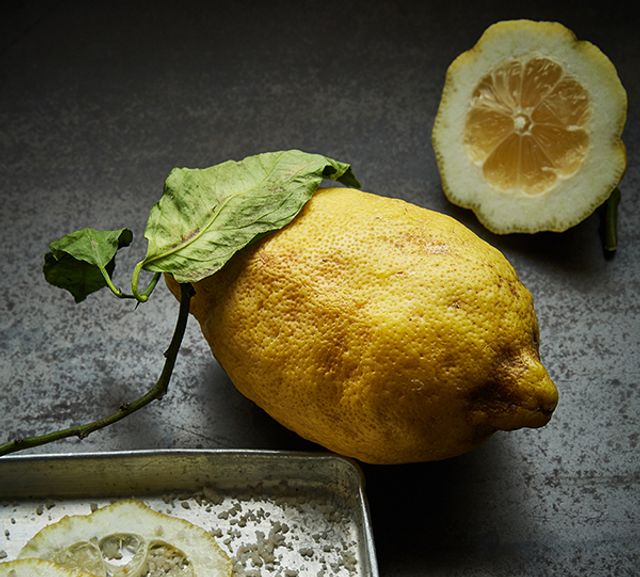 »Zitronen sind im Geschmack so unterschiedlich wie Äpfel« - SZ Magazin