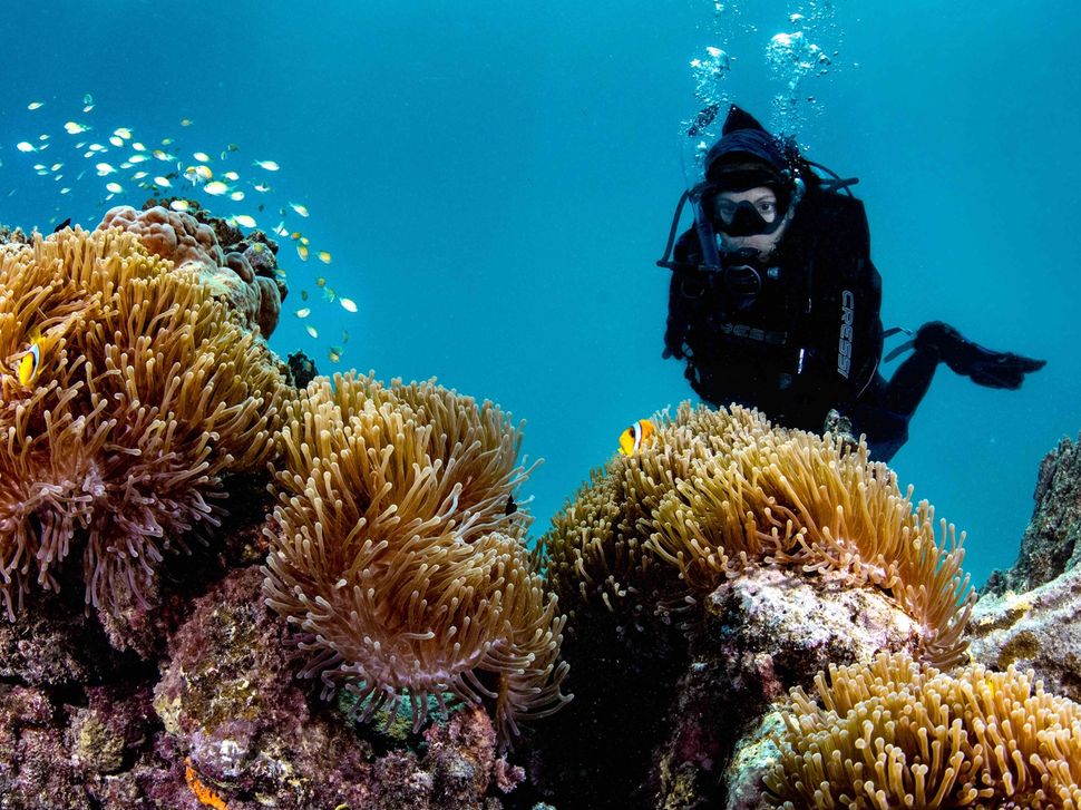 Autorenseite Michaela Haas - SZ Magazin