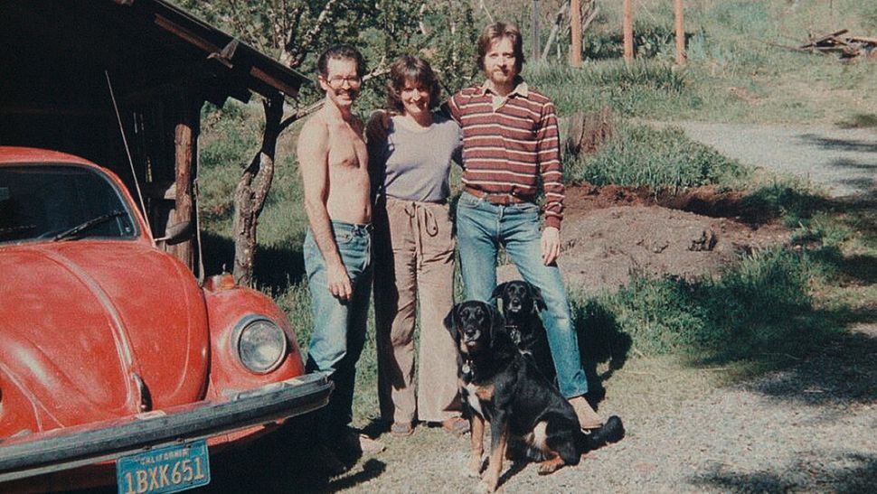 US-Publizistin Donna Haraway im Interview - SZ Magazin