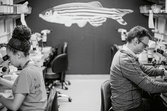 Wolfram Gössling: Renommierter Krebsforscher – und Patient - SZ Magazin