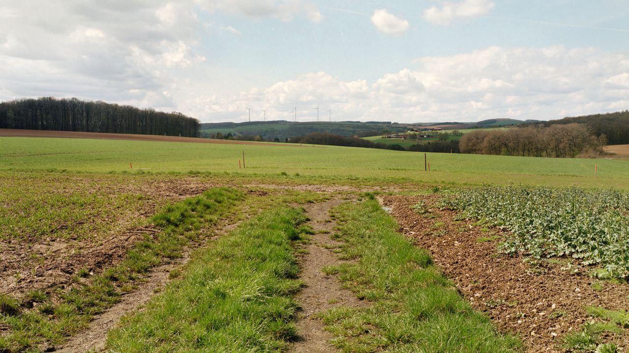 Ute Schmidt: Fotos vom Mittelpunkt von Europa - SZ Magazin