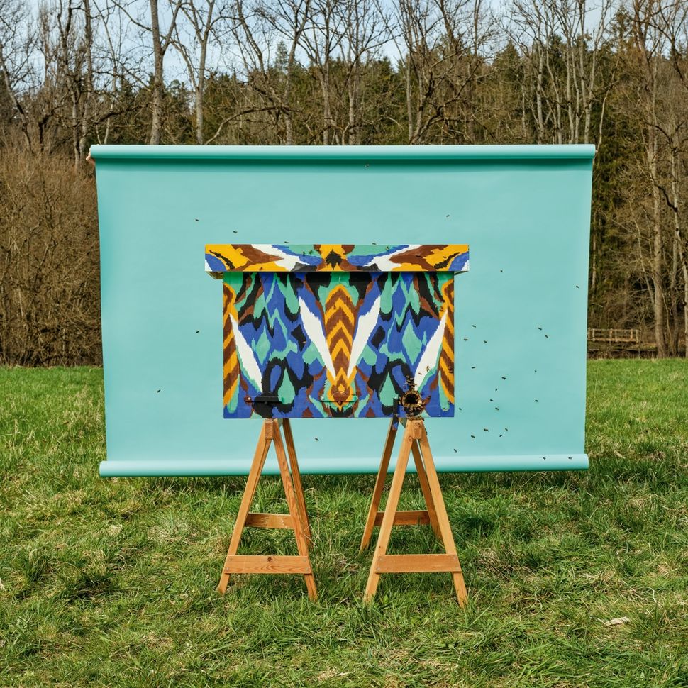 Verlosung für guten Zweck: Design-Bienenstöcke - SZ Magazin
